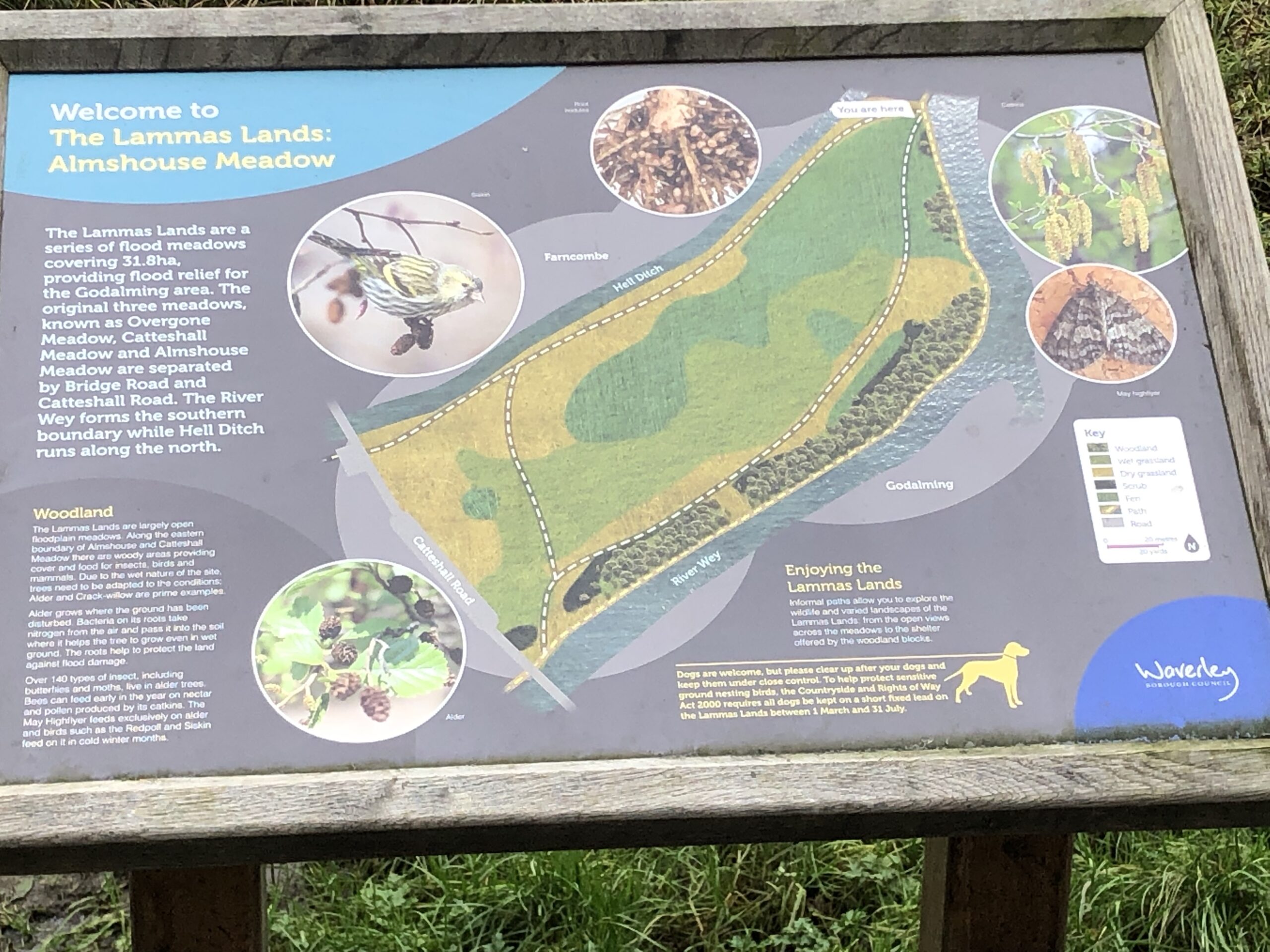 Step 6: Layout - Interpret Norway
